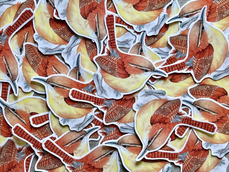 Carolina Wren Watercolor Sticker, Small Songbird Vinyl Decal, Laminated ...