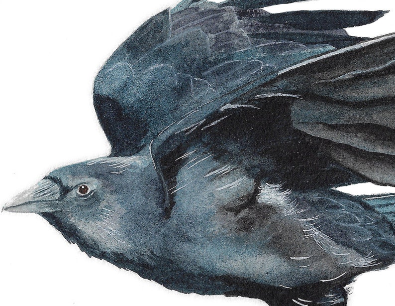 Flying Crow Watercolor Sticker, Black Bird Vinyl Decal, Laminated Peel ...