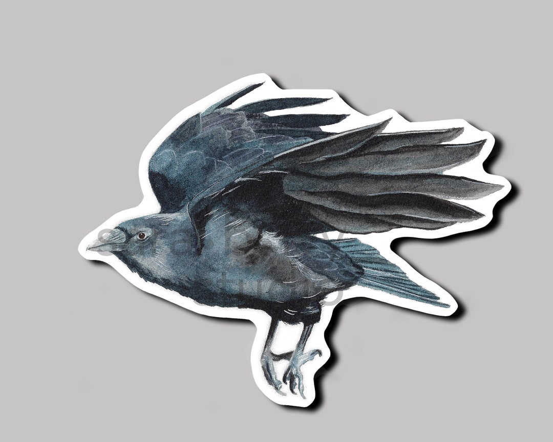 Flying Crow Watercolor Sticker, Black Bird Vinyl Decal, Laminated Peel ...