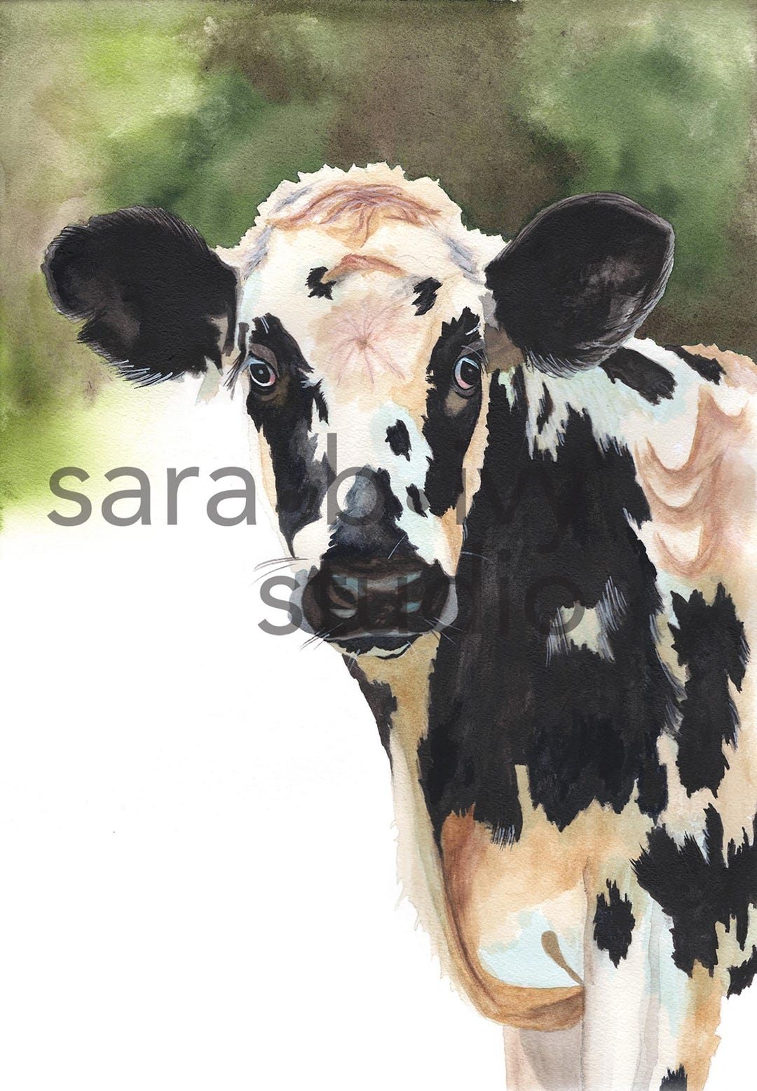 Holstein Heifer Limited Edition Watercolor Fine Art Print, Unframed ...