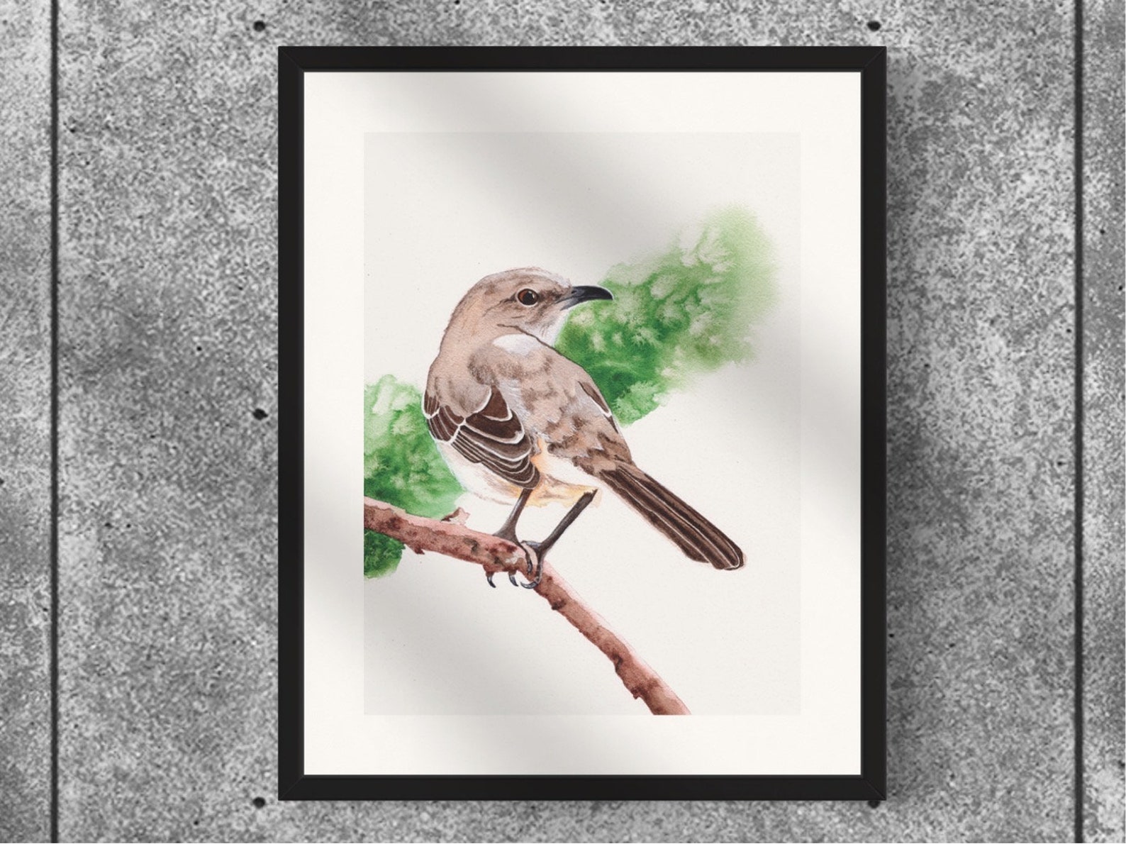 Mockingbird Realistic Watercolor Painting, 9x12 Unframed Songbird ...