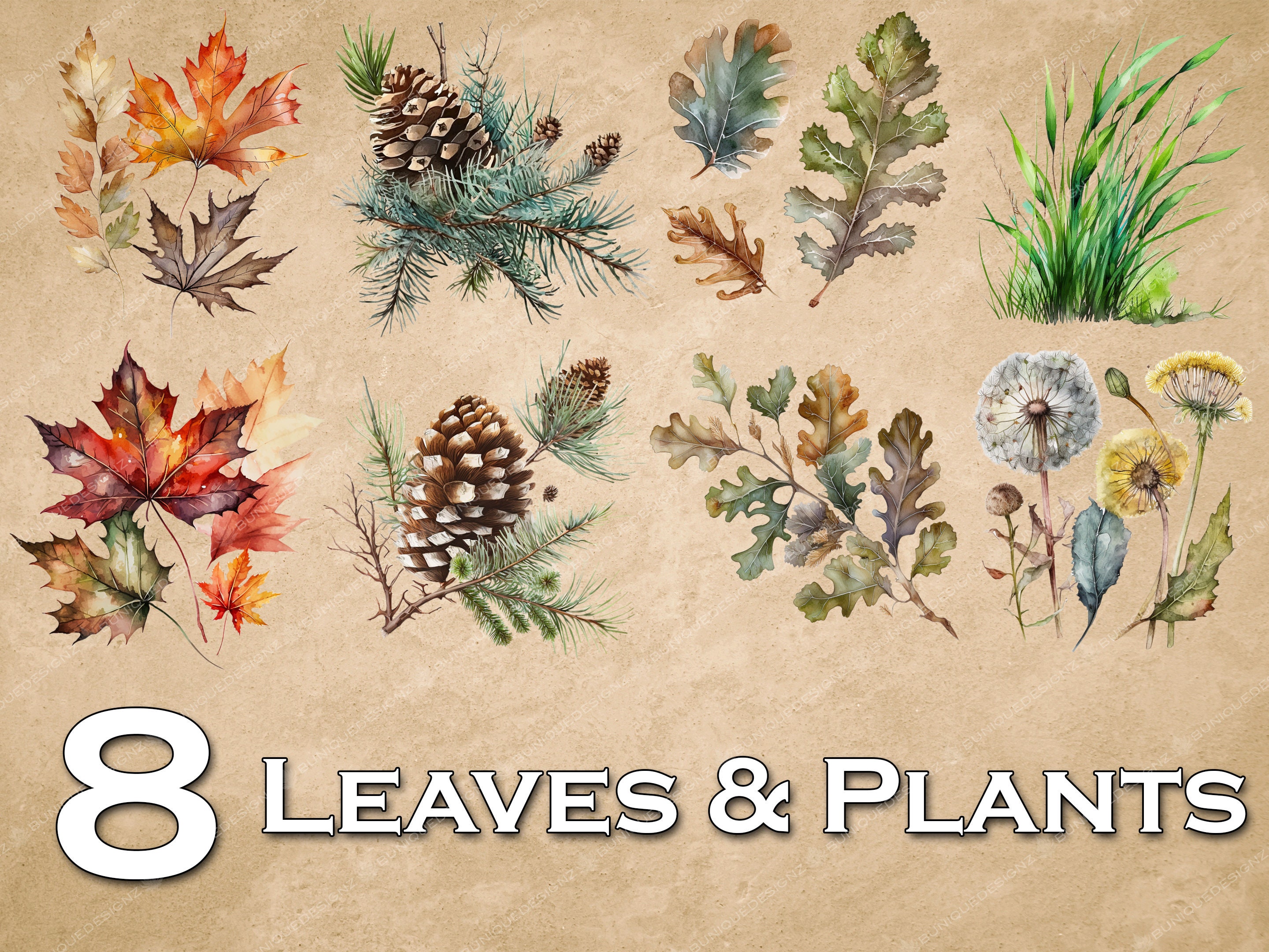 40 Woodland Animals Watercolor Clipart, Commercial Use, Transparent ...