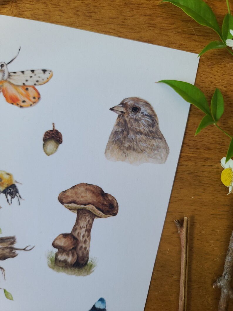 PRINTABLE Backyard Nature, Printable Wall Art, Digital Nature Print ...