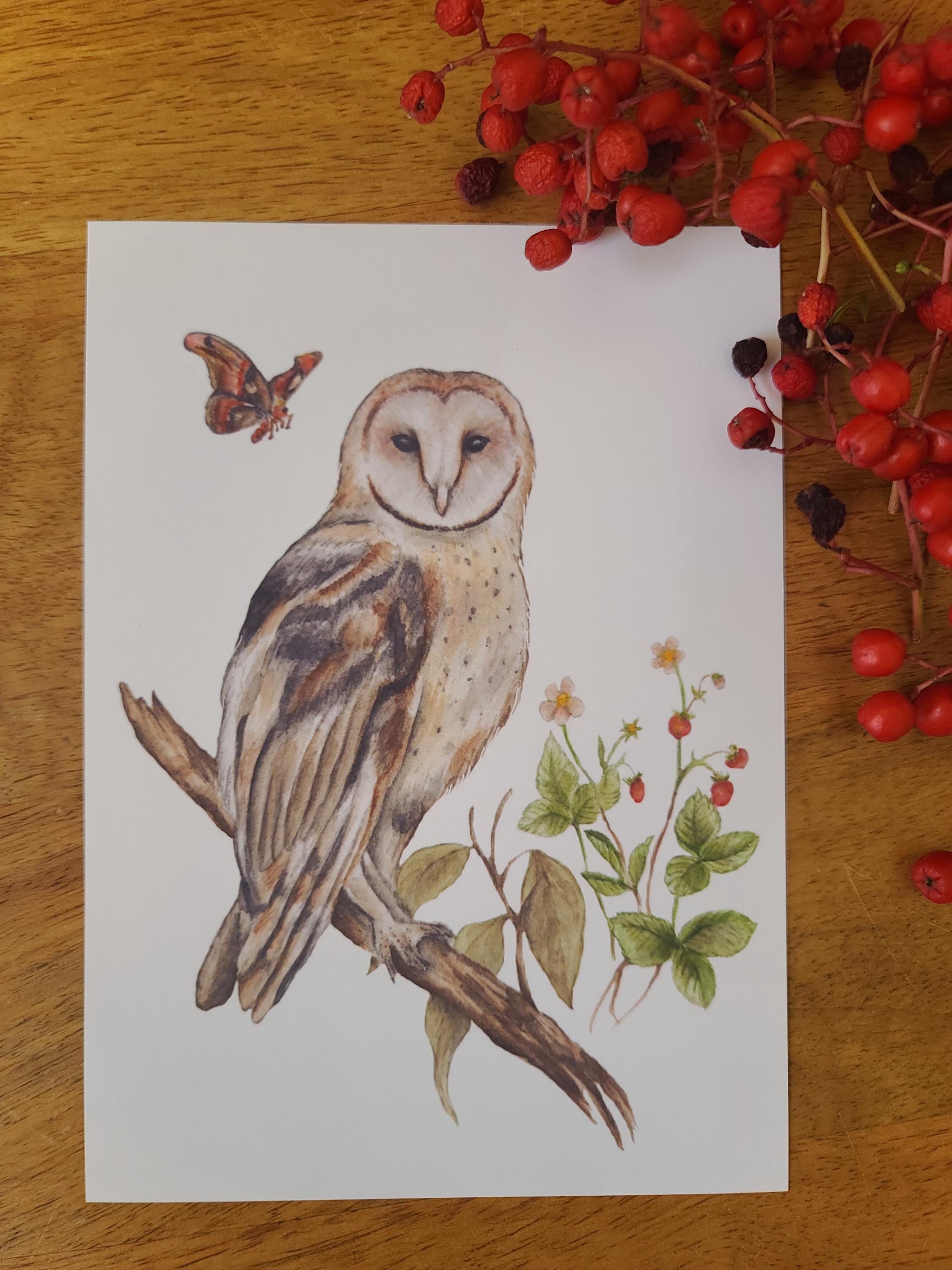 PRINTABLE Barn Owl and Atlas Moth, Printable Wall Art, Downloadable ...