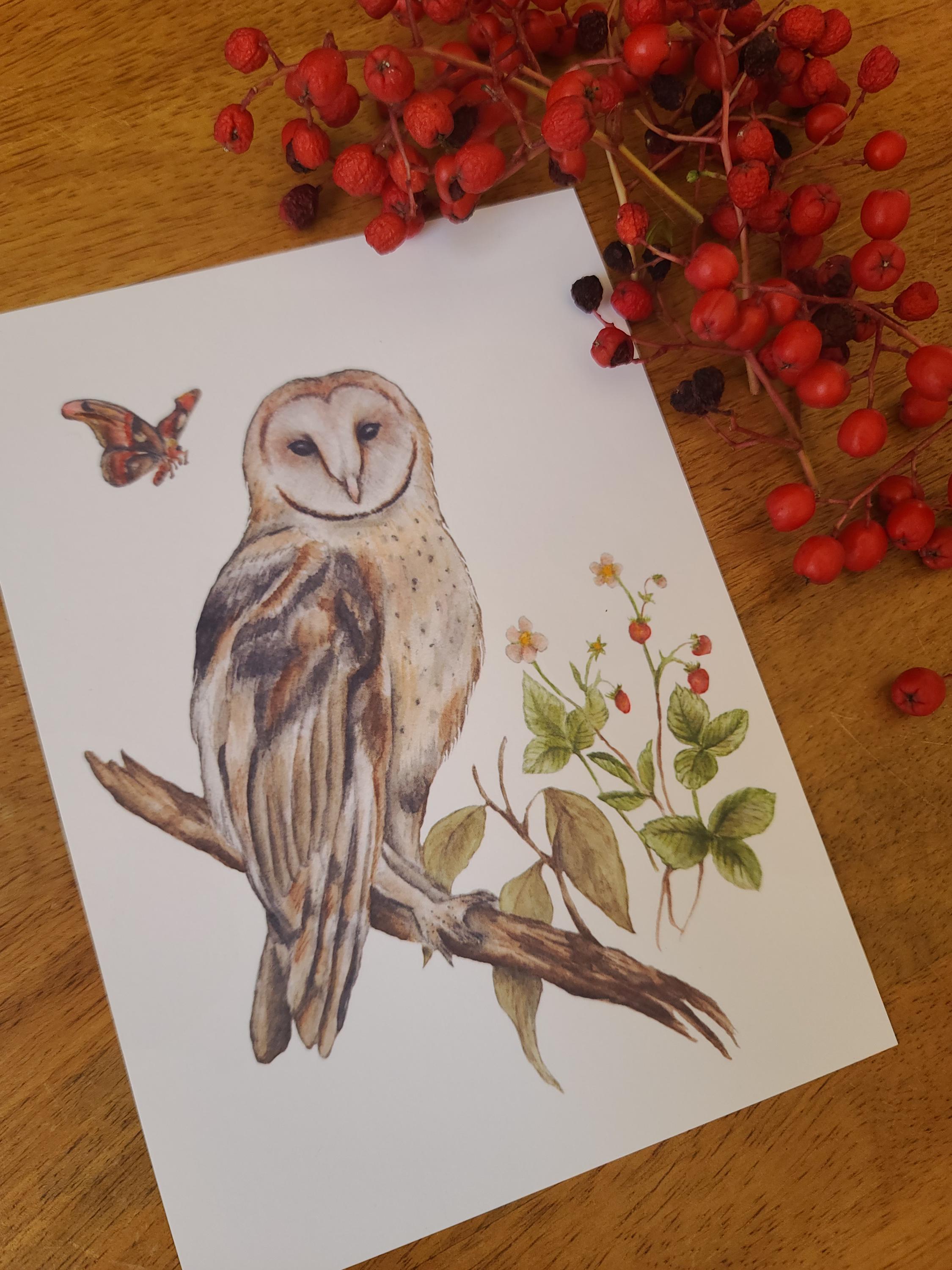 PRINTABLE Barn Owl and Atlas Moth, Printable Wall Art, Downloadable ...