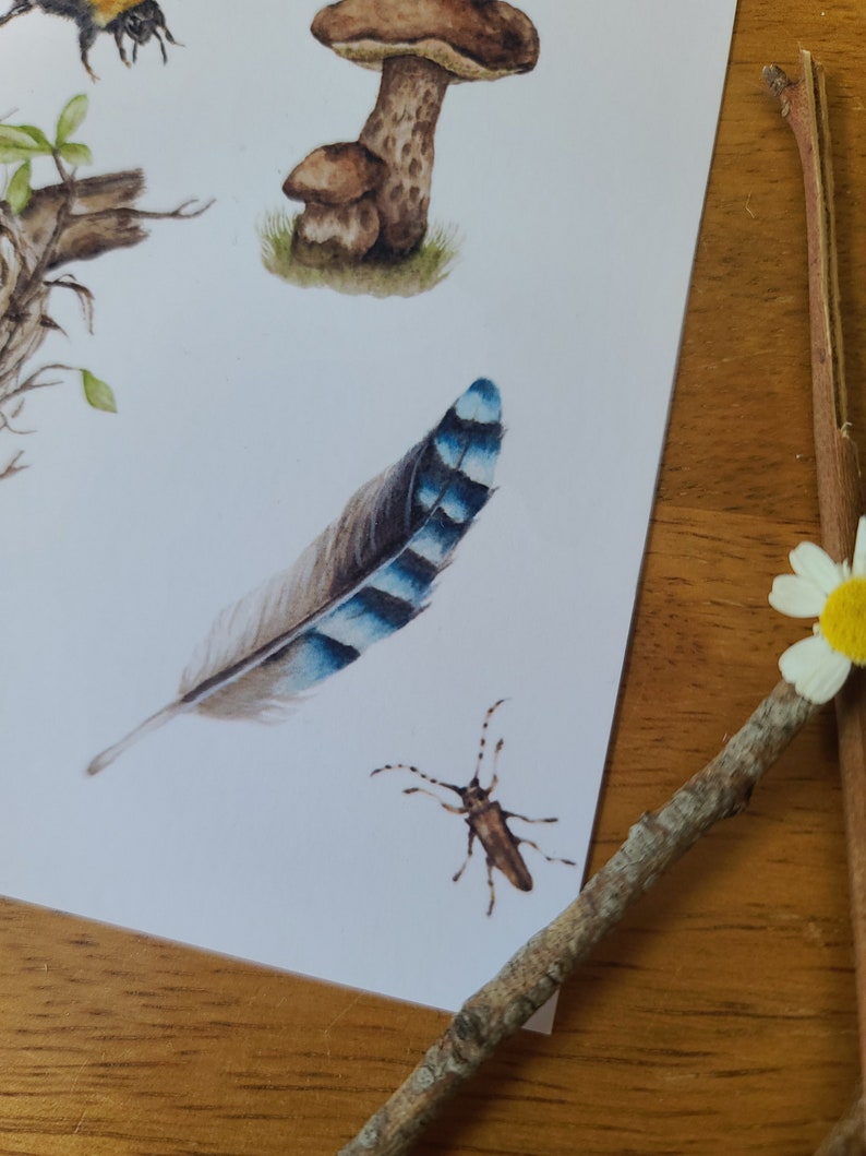 PRINTABLE Backyard Nature, Printable Wall Art, Digital Nature Print ...