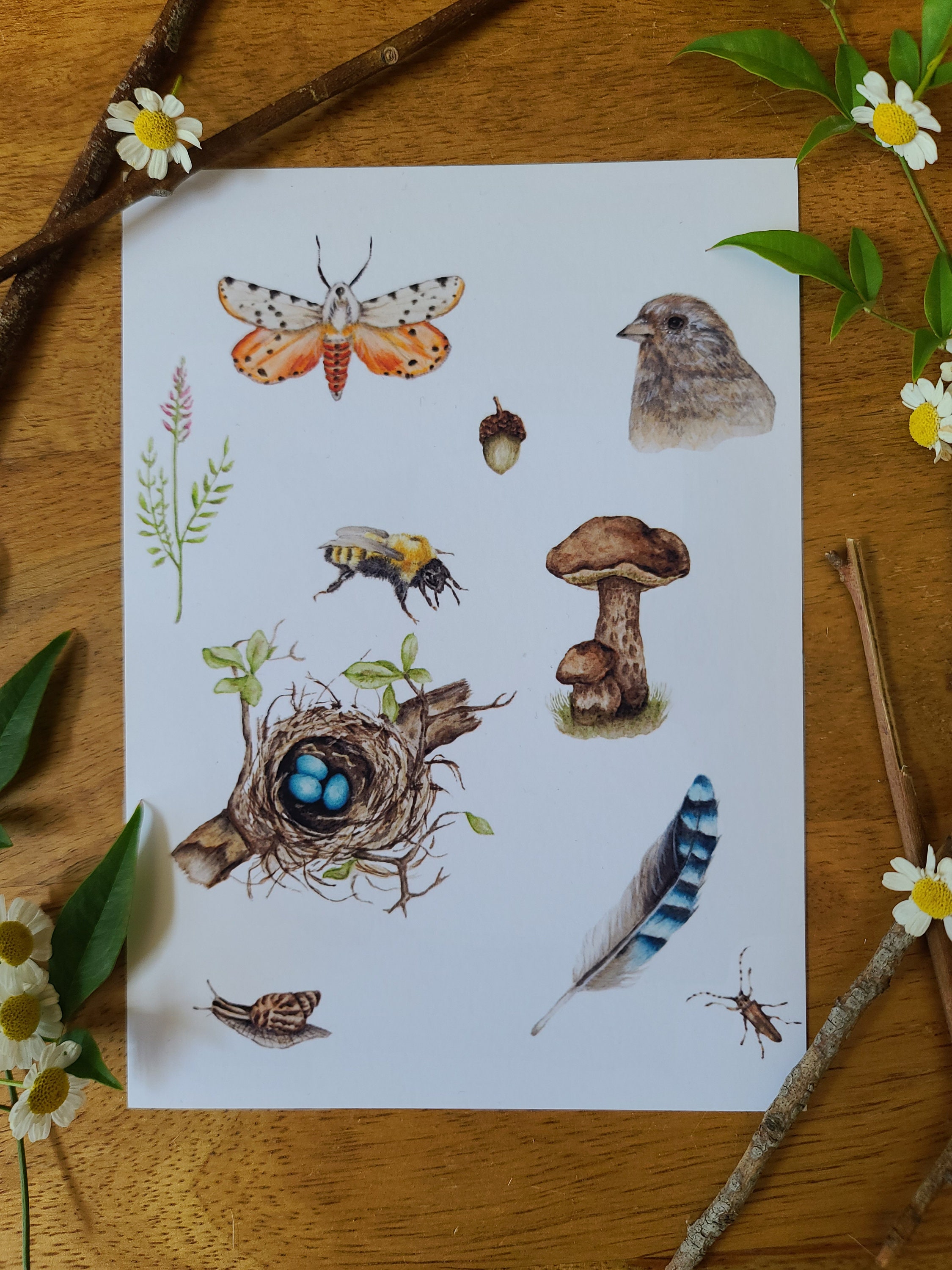 PRINTABLE Backyard Nature, Printable Wall Art, Digital Nature Print ...