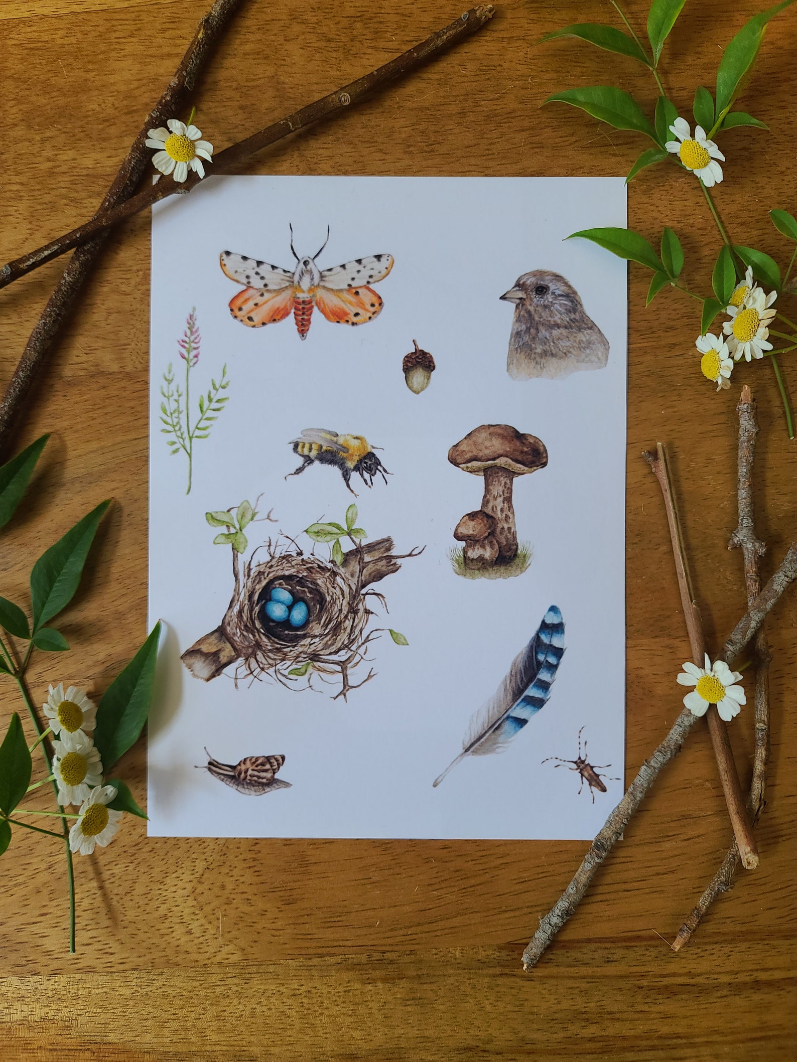 PRINTABLE Backyard Nature, Printable Wall Art, Digital Nature Print ...