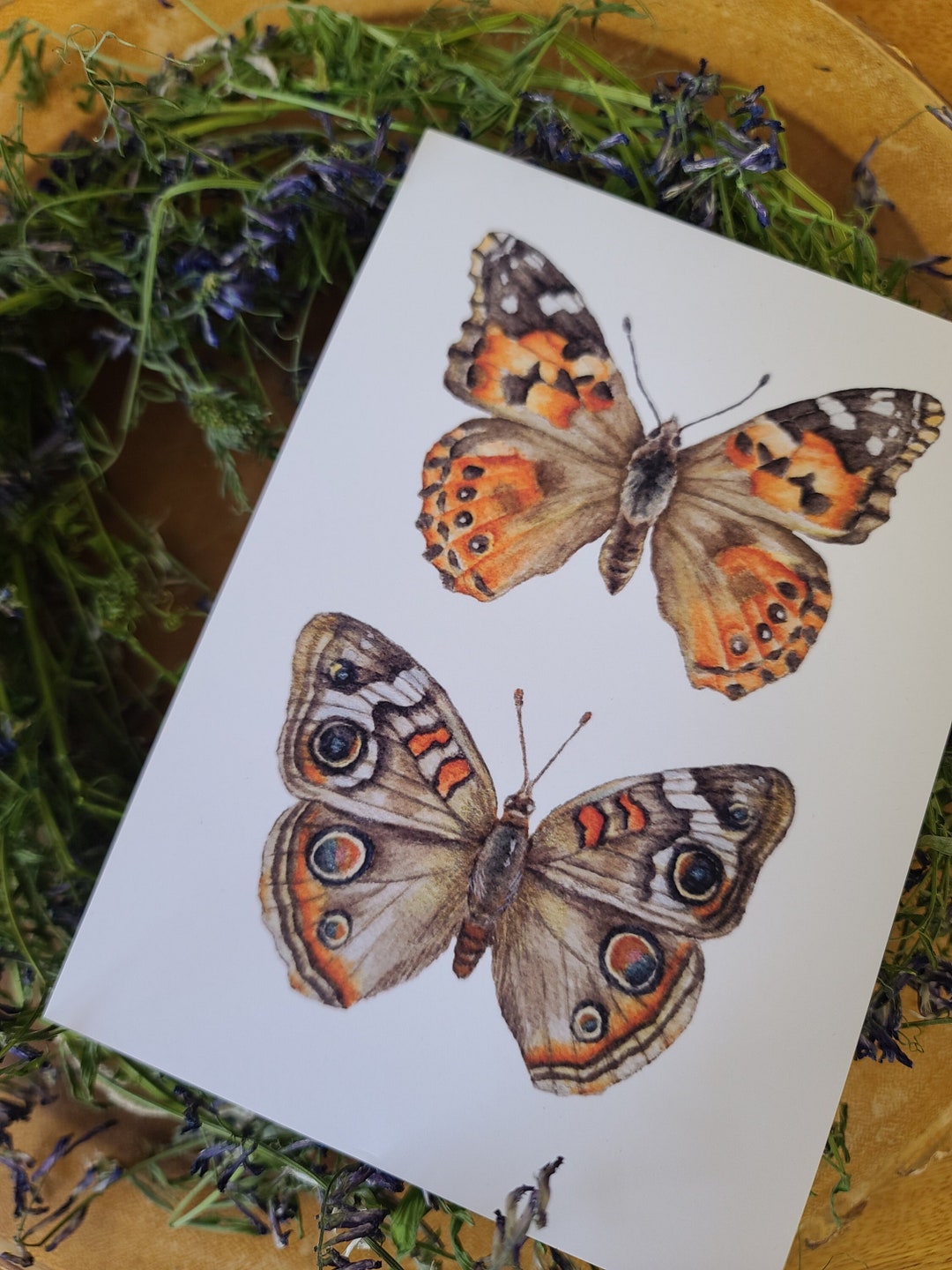PRINTABLE Painted Lady & Common Buckeye, Printable Wall Art ...