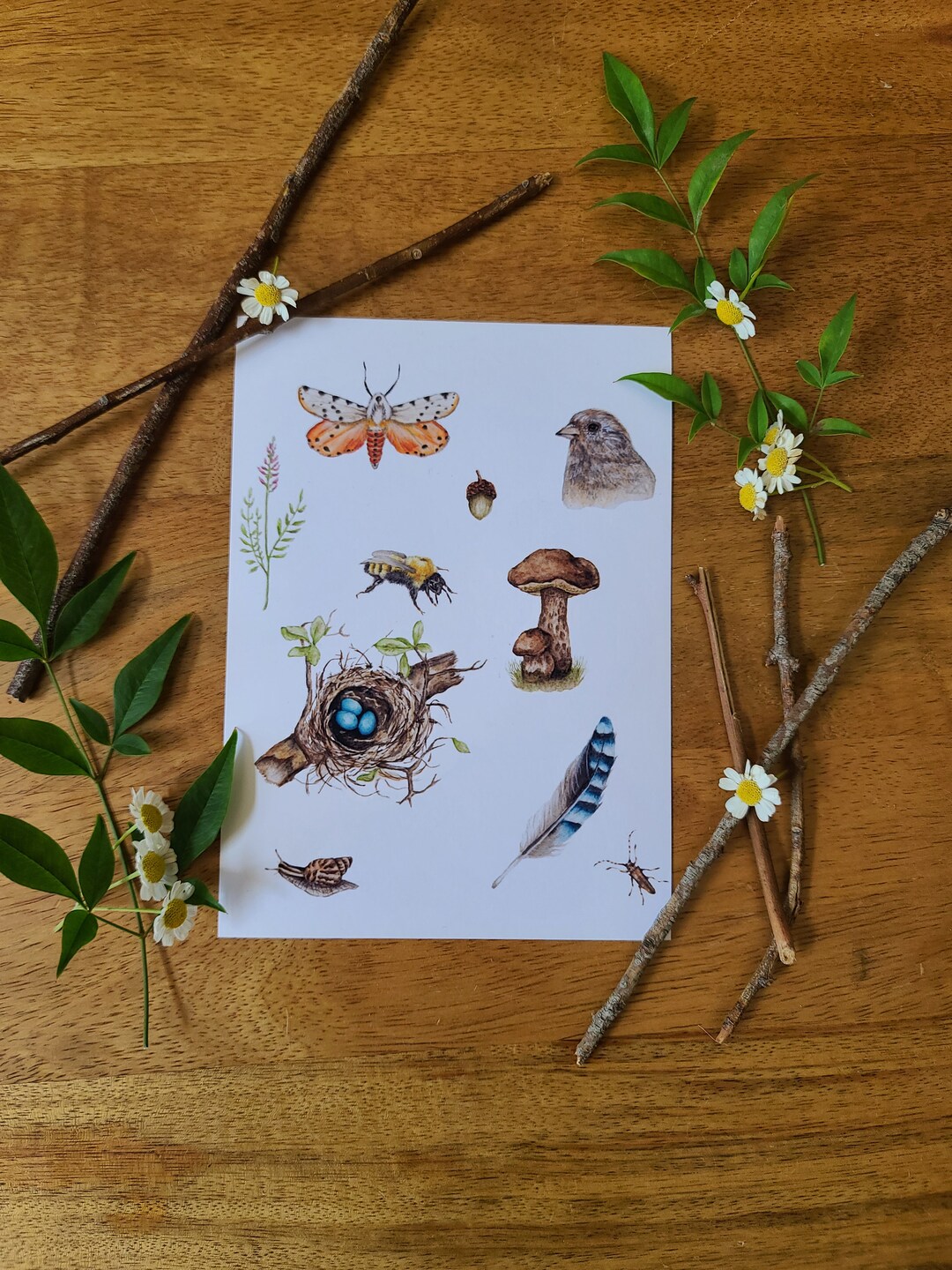 PRINTABLE Backyard Nature, Printable Wall Art, Digital Nature Print ...