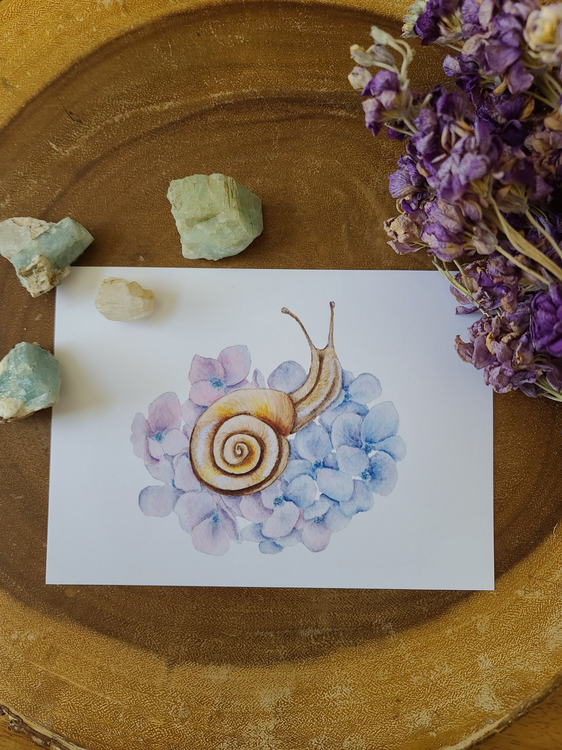PRINTABLE Snail and Hydrangea, Downloadable Print, Snail Art, Hydrangea ...