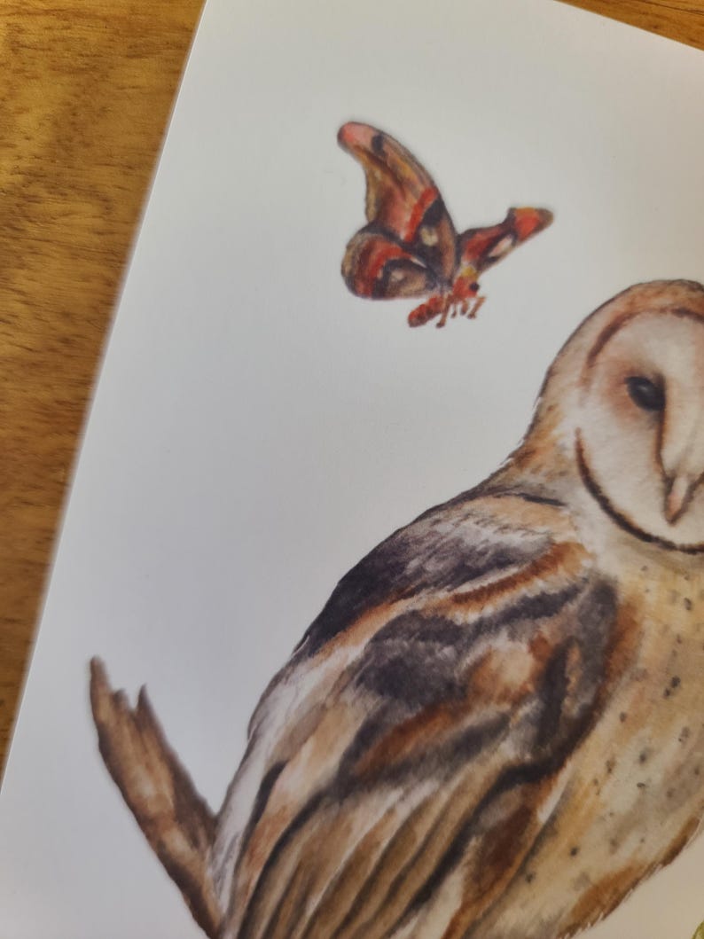 PRINTABLE Barn Owl and Atlas Moth, Printable Wall Art, Downloadable ...