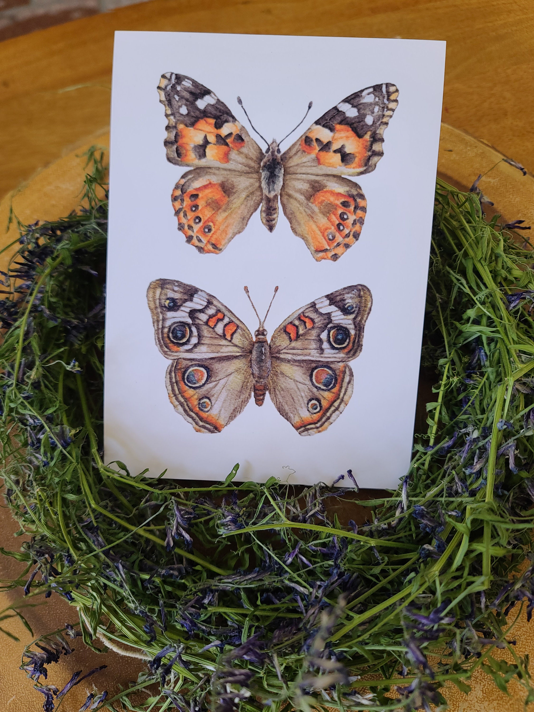 PRINTABLE Painted Lady & Common Buckeye, Printable Wall Art ...