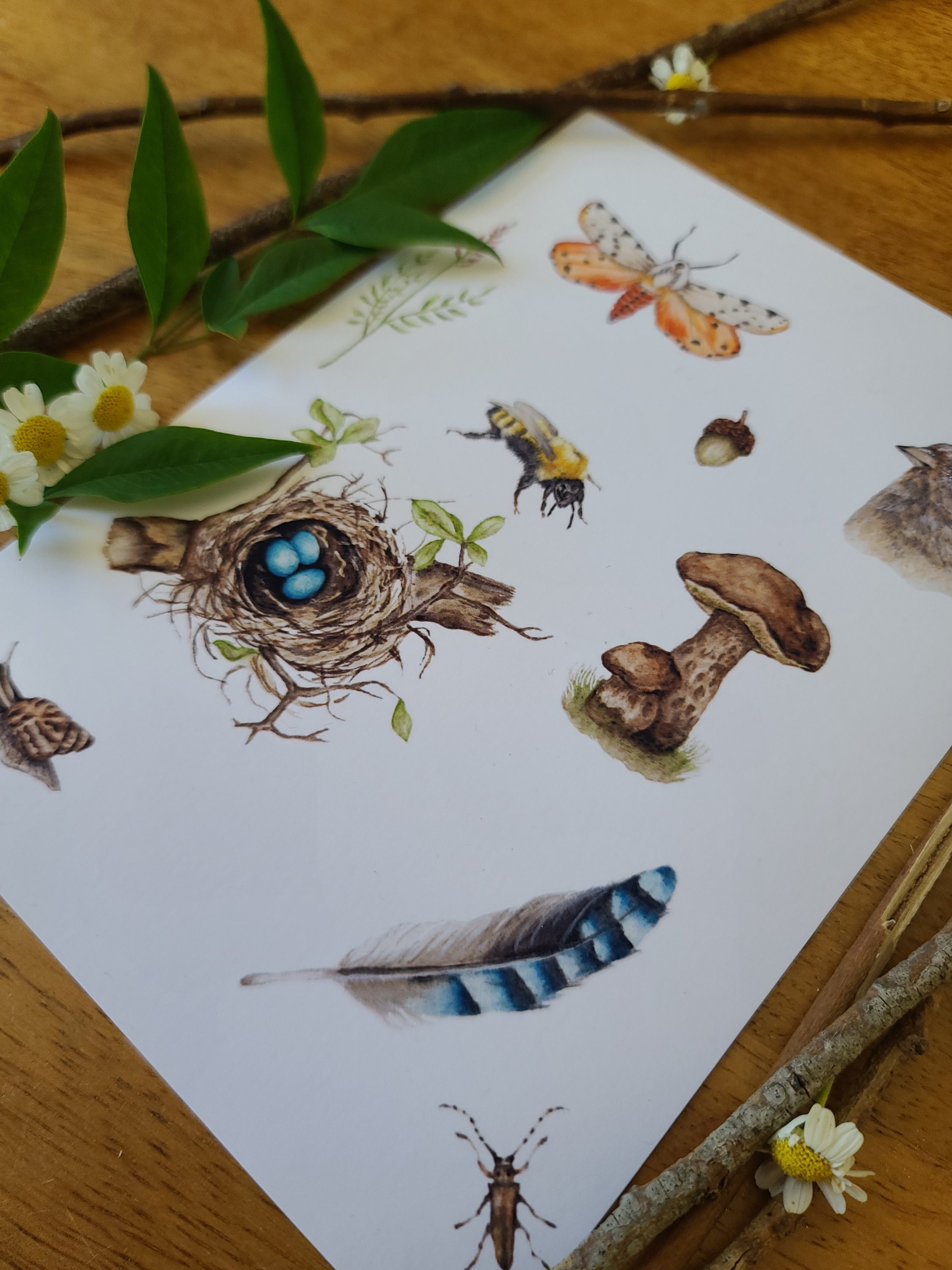 PRINTABLE Backyard Nature, Printable Wall Art, Digital Nature Print ...