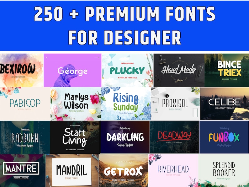 250+ Premium Font Package | Fonts for Crafters, Cricut Fonts, Procreate ...