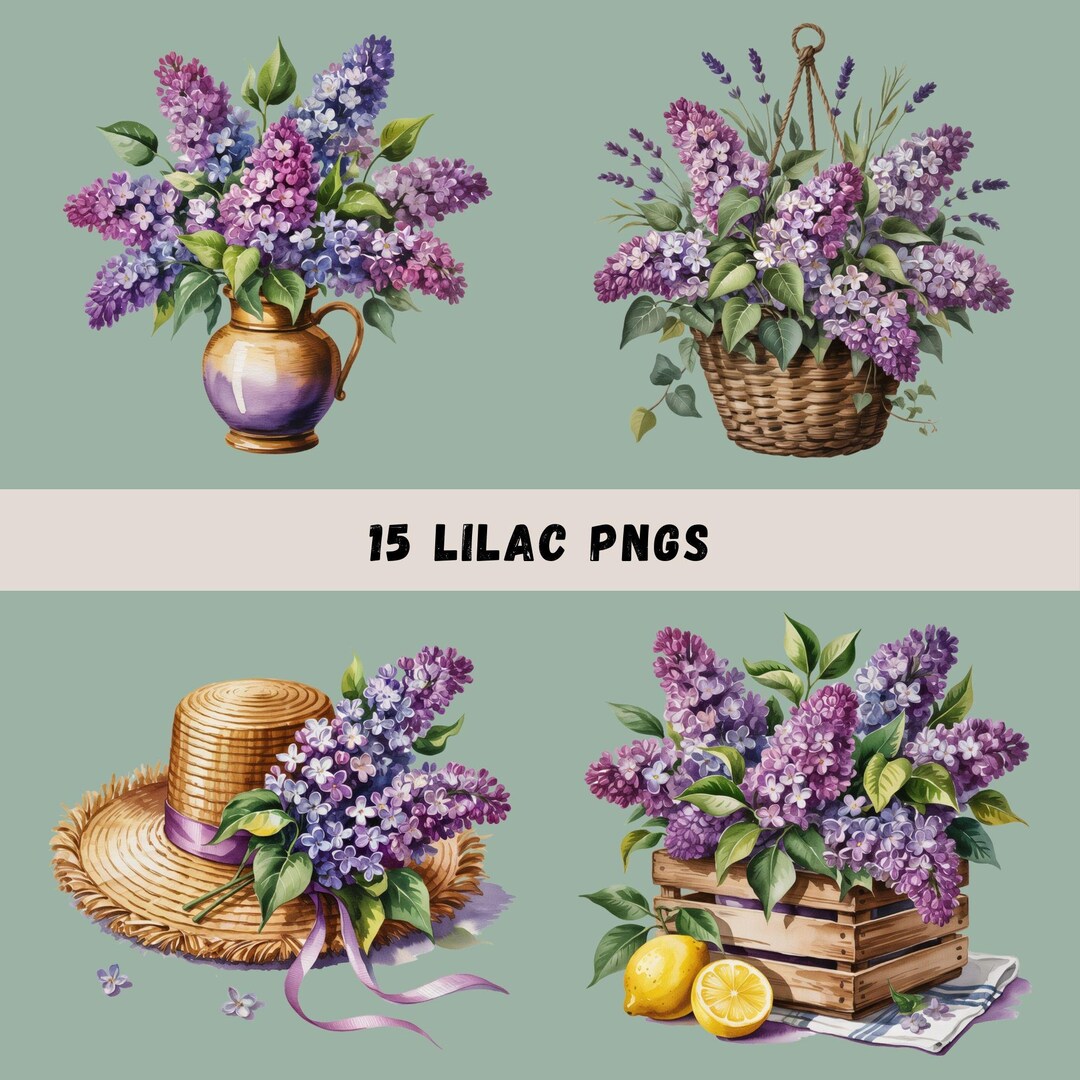 Lilacs Clipart Bundle, 15 Watercolor Lilac Pngs, Purple Lilacs ...