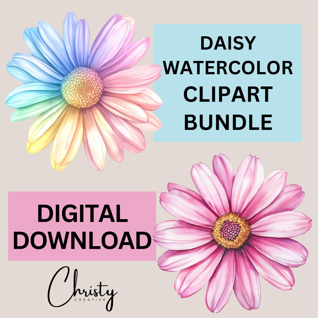 Watercolor Daisy Clipart Bundle, 12 Floral Daisy Graphics, Watercolor ...