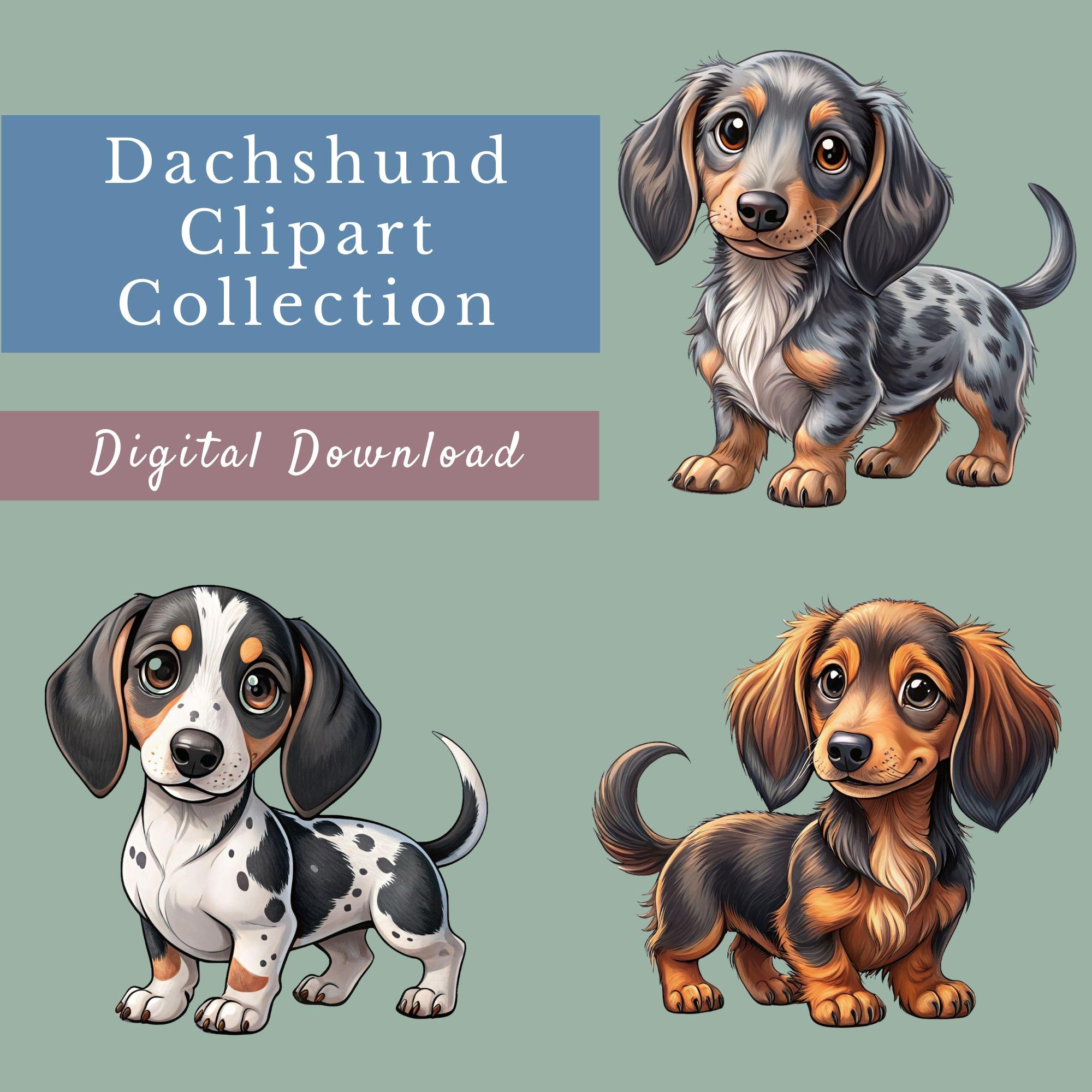 Dachshund Clipart Bundle, 15 Cartoon Wiener Dogs, Dog Lover Sublimation ...