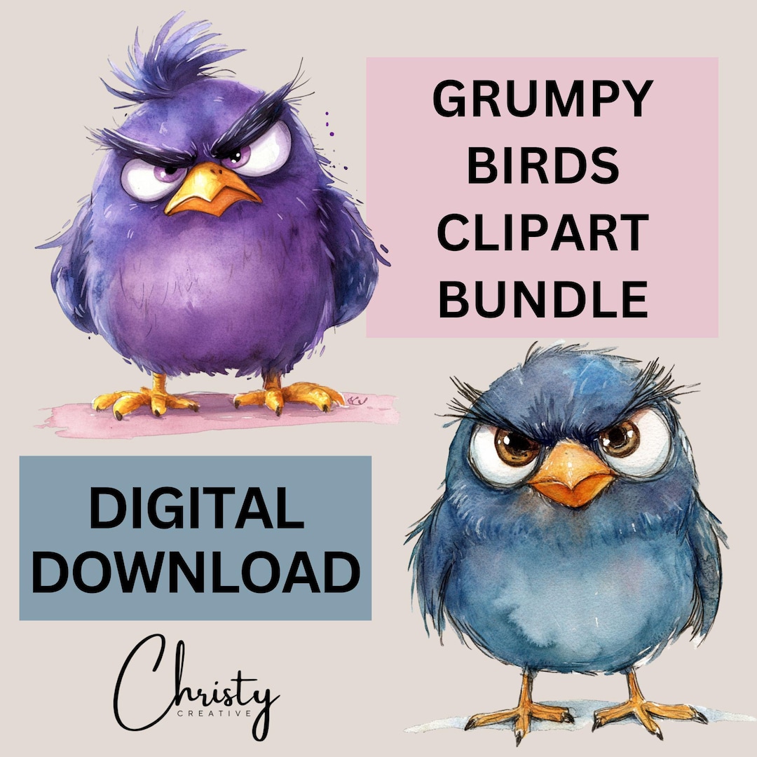 Grumpy Bird Bundle, 12 Cute Bird Designs, Watercolor Birds Clipart ...
