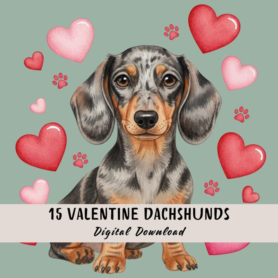 Dachshund Valentine Clipart Bundle, 15 Watercolor Wiener Dogs, Doxie ...