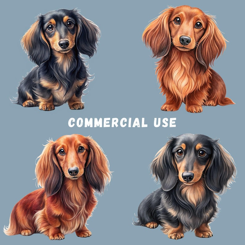 Long-haired Dachshund Clipart Bundle, Adorable Watercolor Wiener Dogs ...