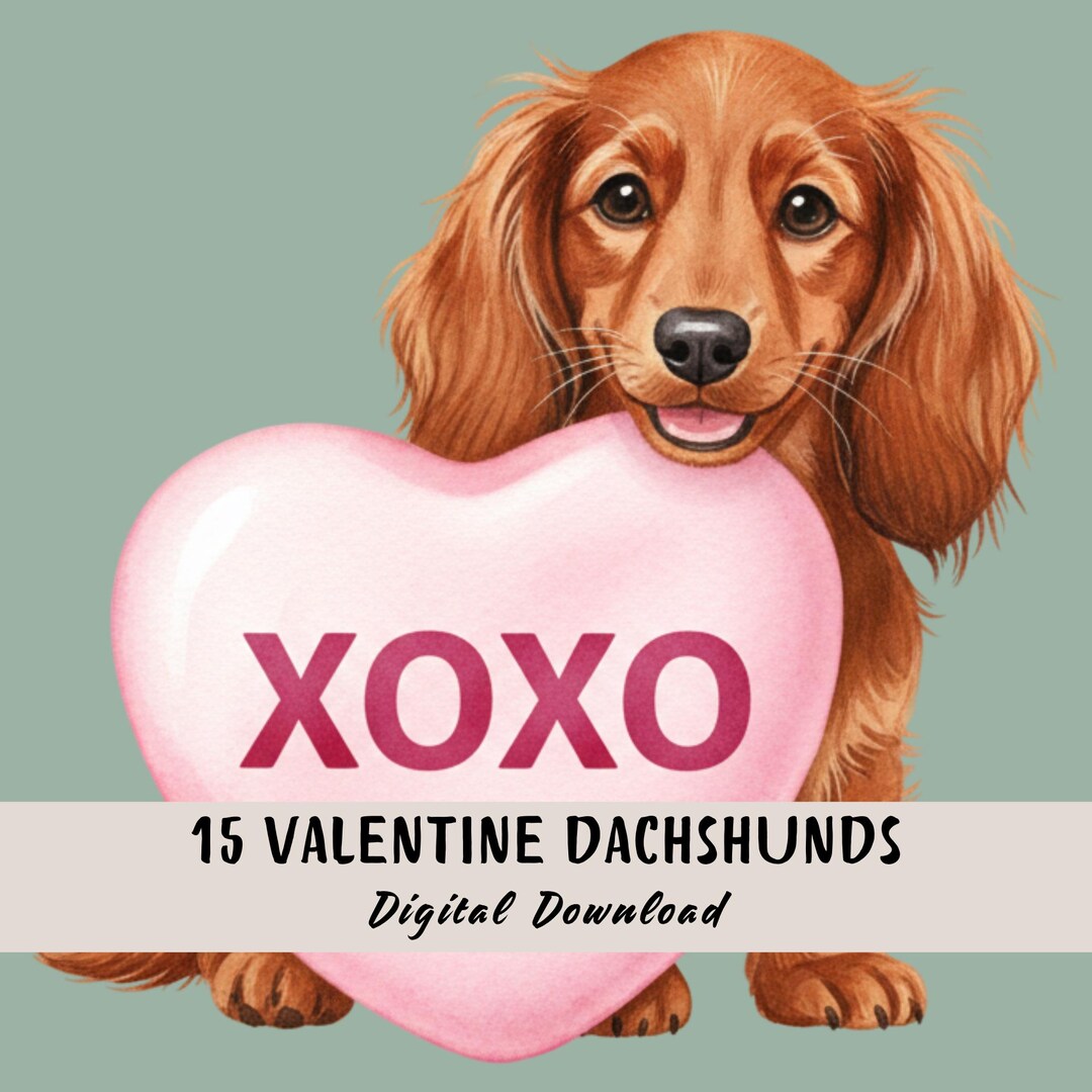 Dachshund Valentine Clipart Bundle, 15 Watercolor Wiener Dogs, Doxie ...