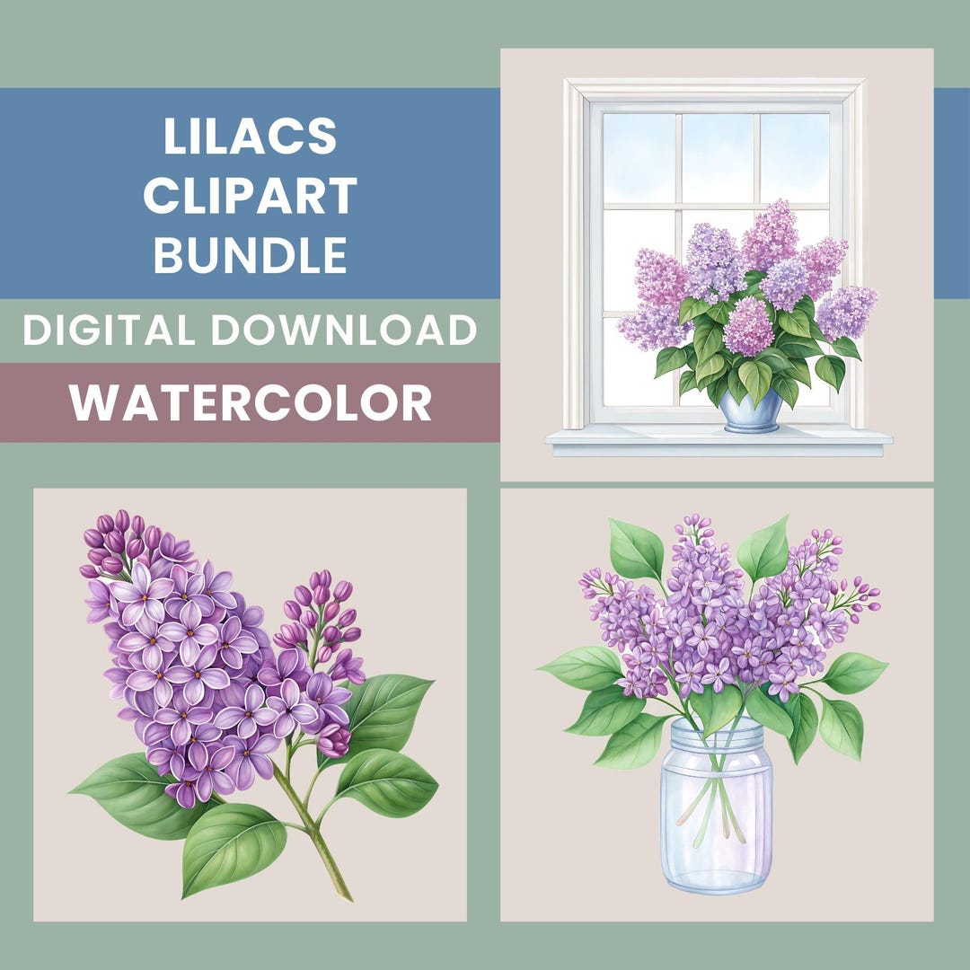 Watercolor Lilacs PNG Bundle, 15 Lilac Flower Illustrations ...