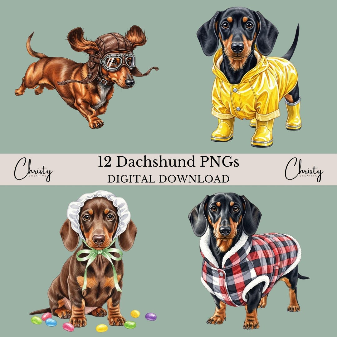 Dachshund Clipart Bundle, 12 Watercolor Doxie Designs, Dog Sublimation ...