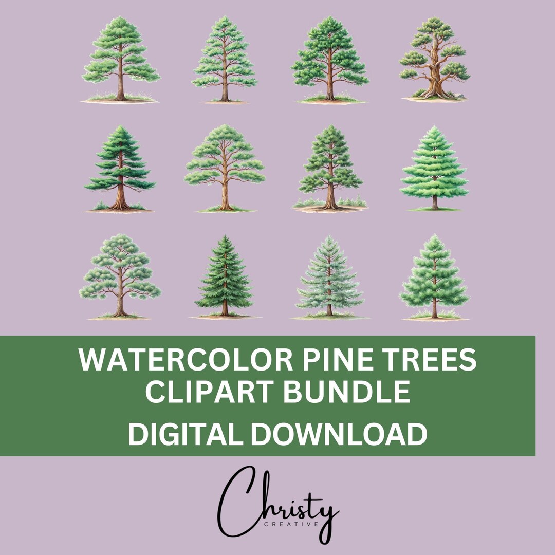 Pine Trees Clipart Bundle, 12 Forest Tree Watercolor Designs, Pine Tree ...