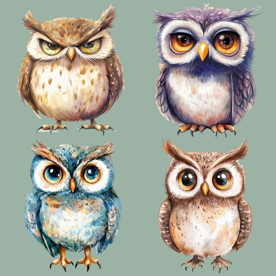 Owl Clipart Bundle, 12 Watercolor Designs, Cute Owl Watercolor Set, Owl ...