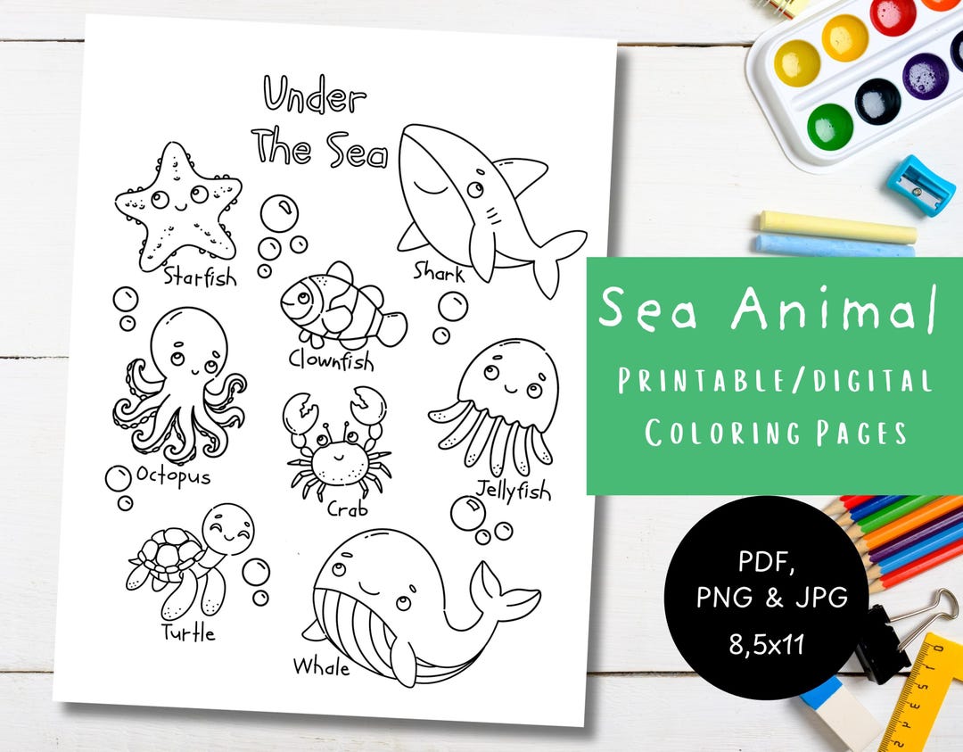 Sea Animal Coloring Page: Kids' Printable Art (PDF, JPG, PNG) - Etsy