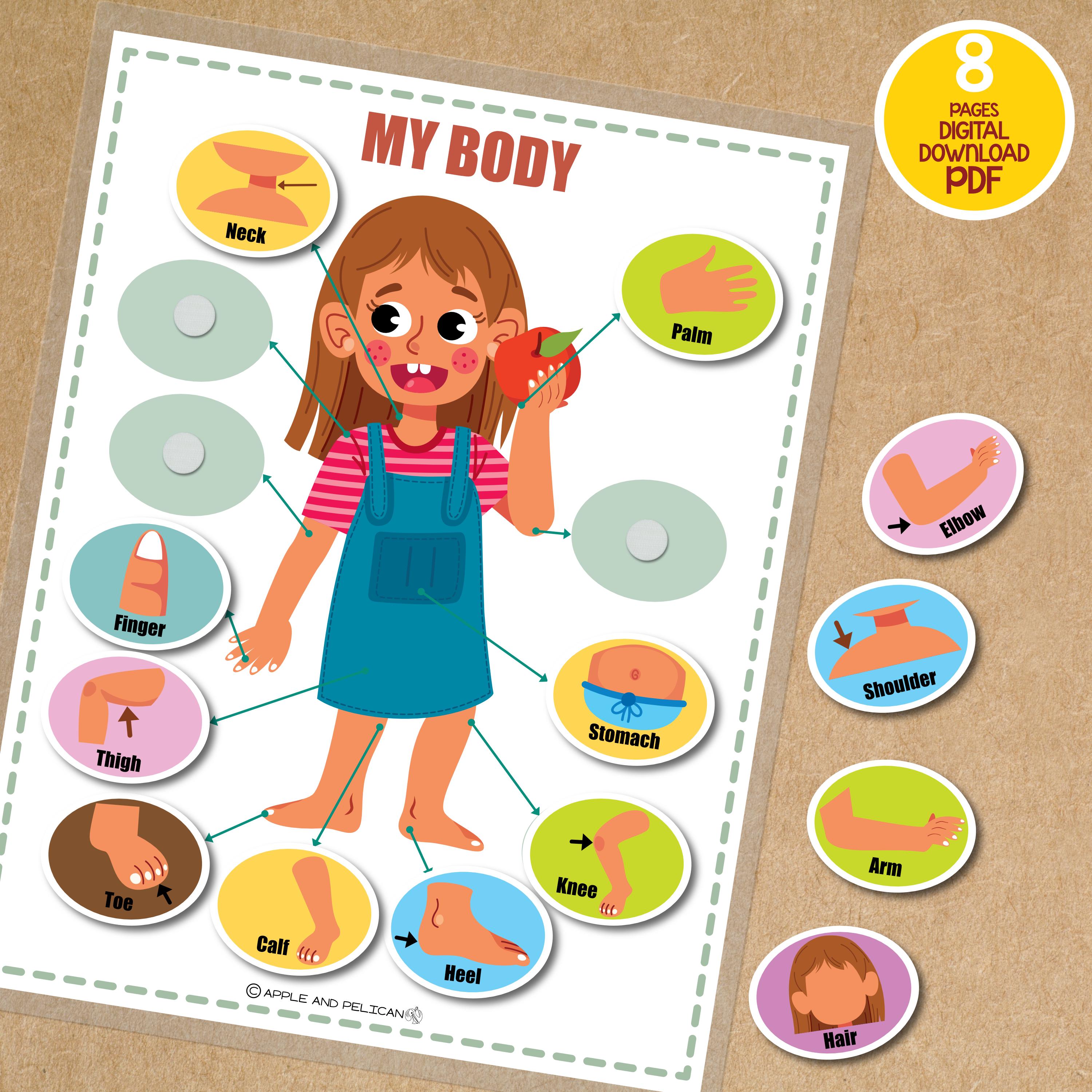 Body Parts Matching Game, Printable Parts of the Body, Toddler Busy ...