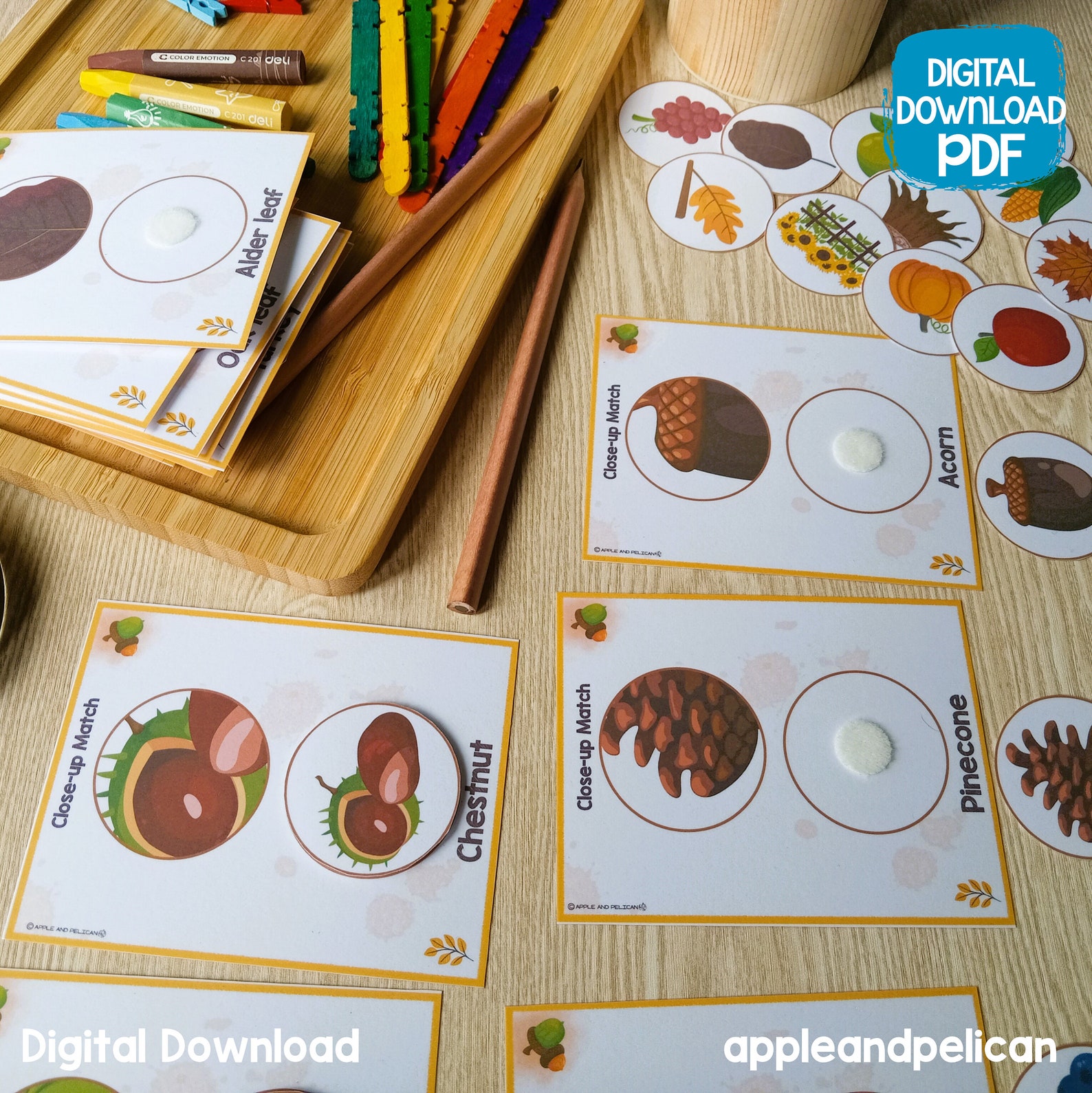 Visual Close up Matching Activity for Kids, Printable Fall Visual ...