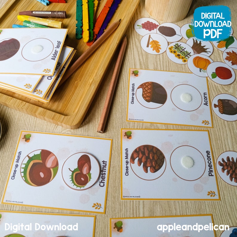 Visual Close up Matching Activity for Kids, Printable Fall Visual ...