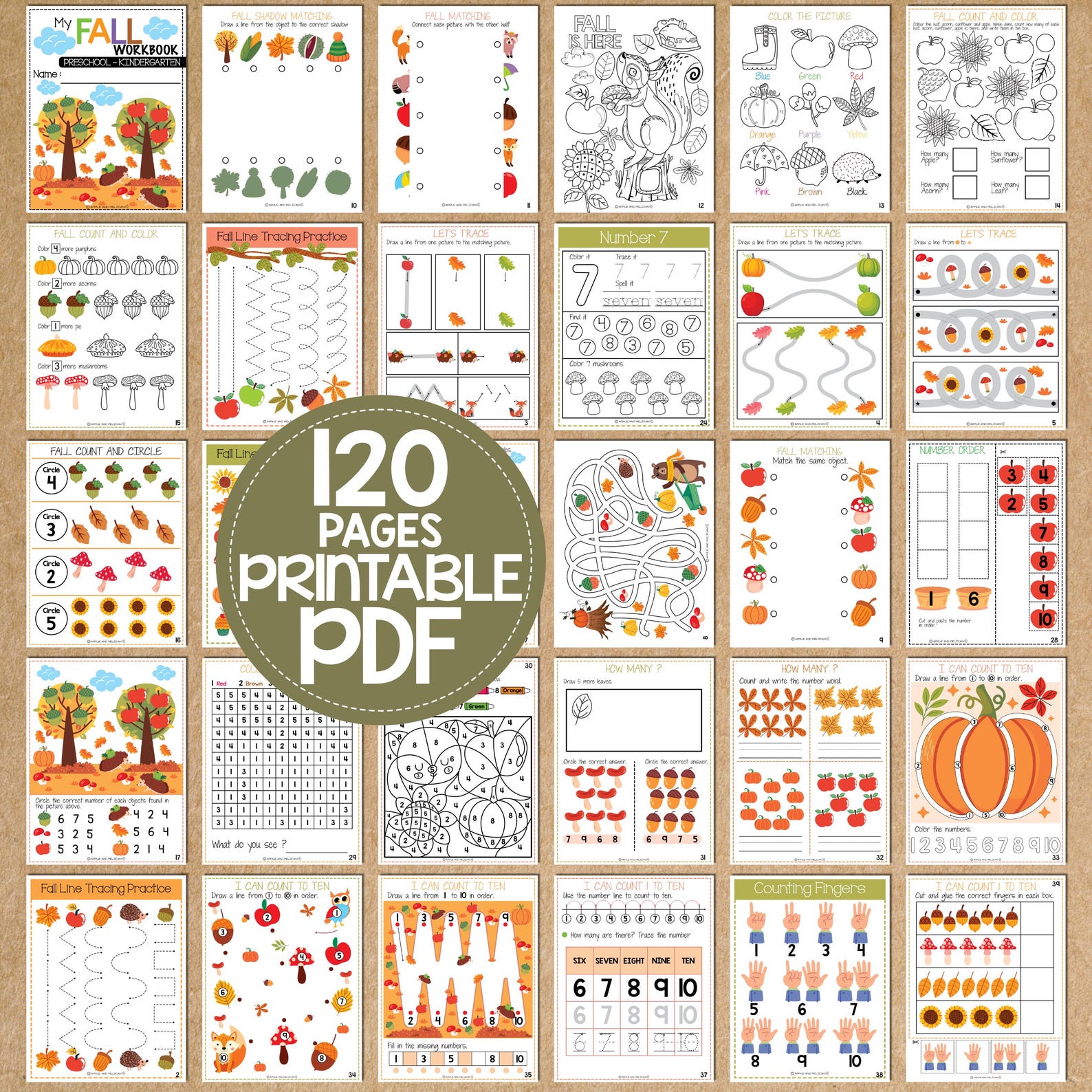 Fall Preschool Kindergarten Activity Packet, Fall Kid Activity ...