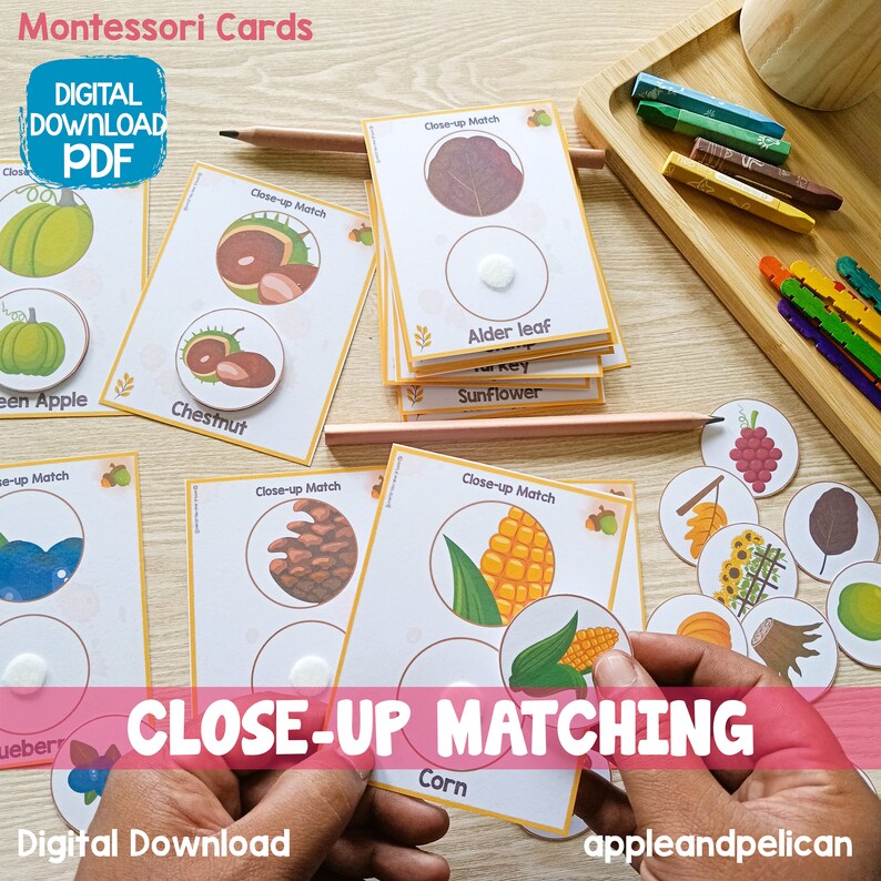 Visual Close up Matching Activity for Kids, Printable Fall Visual ...
