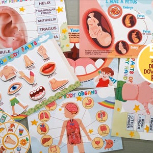 My Body Busy Book Printable Toddler Learning Binder, Human Anatomy ...