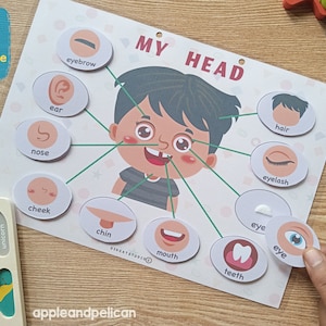 Printable Face Parts Matching Worksheet With Flashcard, Body Parts ...