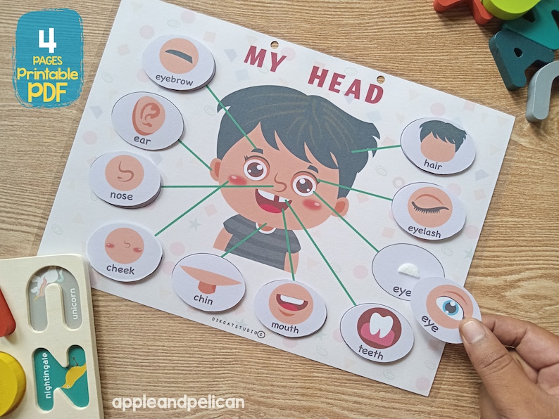 Printable Face Parts Matching Worksheet With Flashcard, Body Parts ...
