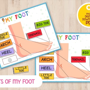 Body Parts Name Matching Learning Game Activity Printable Preschool ...