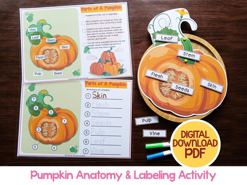 Pumpkin Anatomy Labeling Activity, Preschool Activity, Fall Activity ...