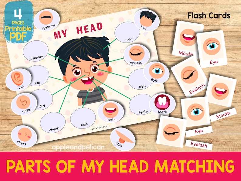 Printable Face Parts Matching Worksheet With Flashcard Body - Etsy ...