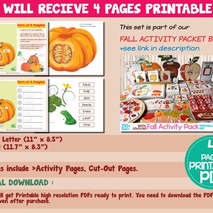 Pumpkin Anatomy Labeling Activity, Preschool Activity, Fall Activity ...
