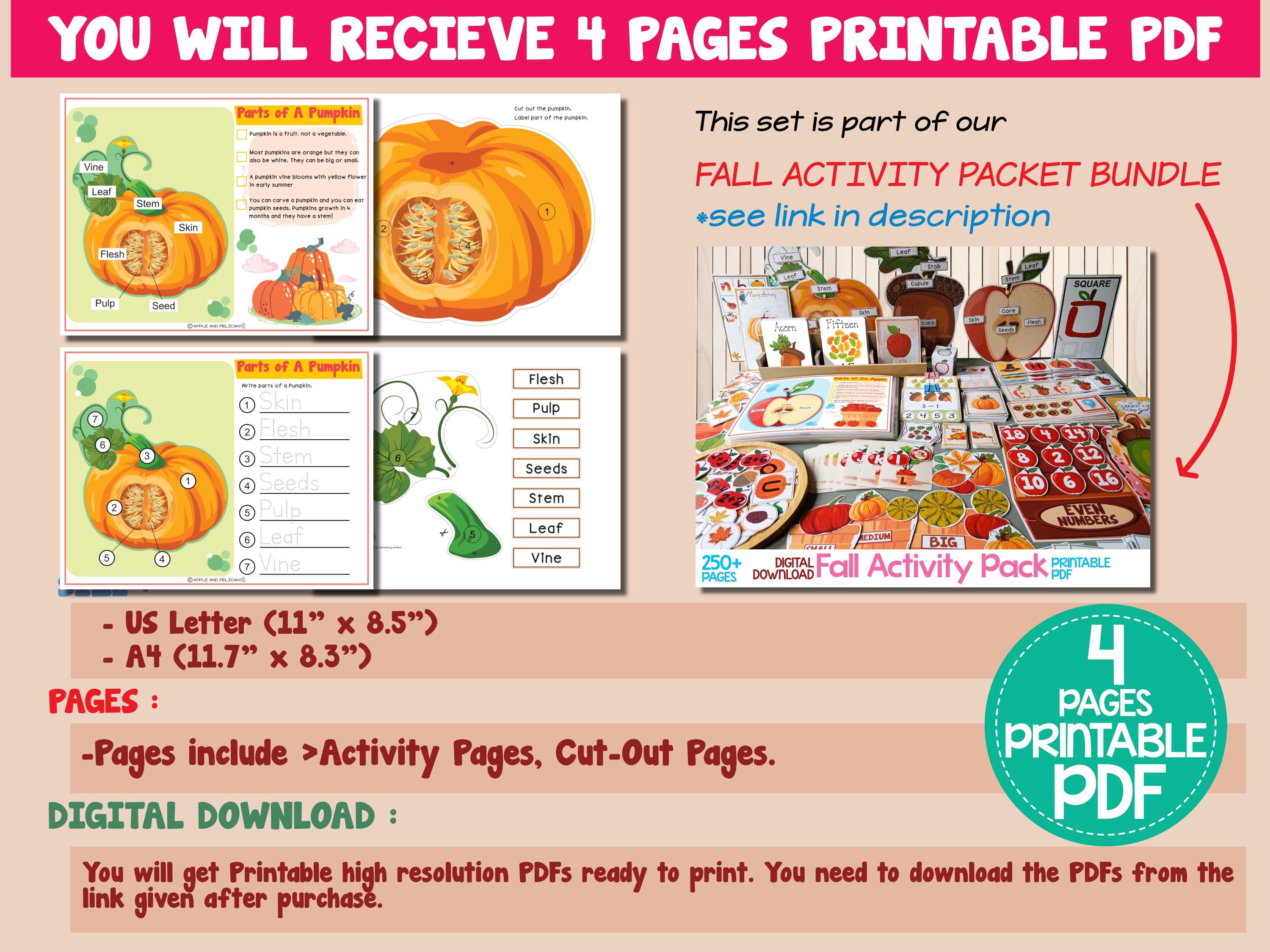 Pumpkin Anatomy Labeling Activity, Preschool Activity, Fall Activity ...