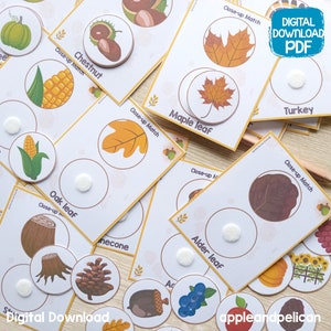 Visual Close up Matching Activity for Kids, Printable Fall Visual ...