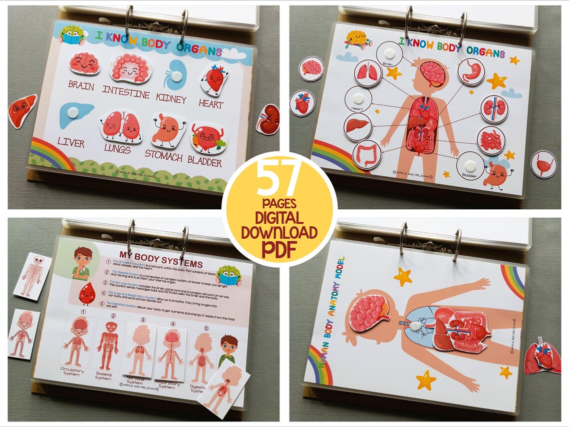My Body Busy Book, Toddler Learning Binder, Human Body Anatomy Activity ...