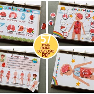 My Body Busy Book, Toddler Learning Binder, Human Body Anatomy Activity ...