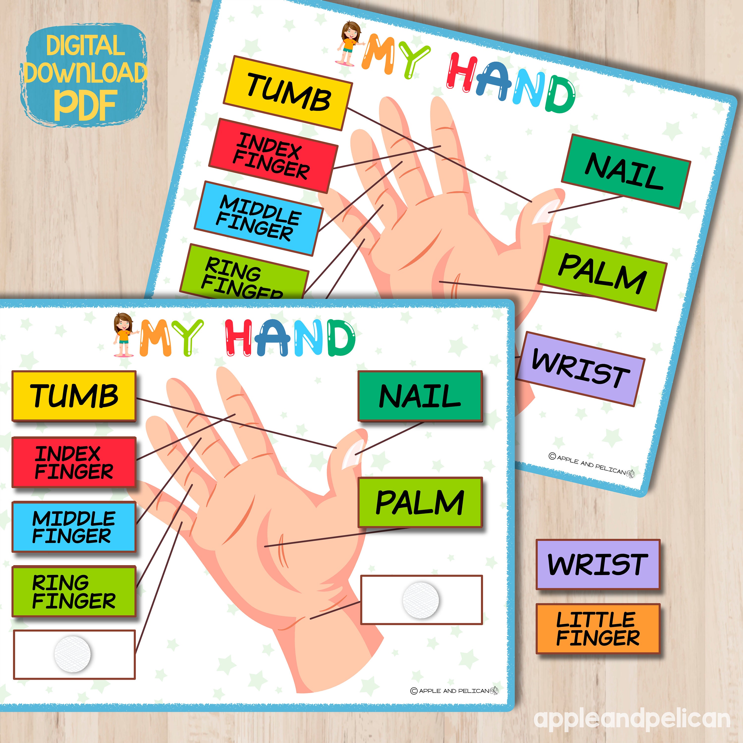 Body Parts Name Matching Learning Game Activity Printable Preschool ...