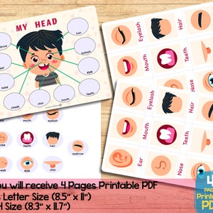 Printable Face Parts Matching Worksheet With Flashcard, Body Parts ...