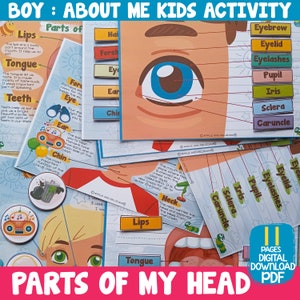 Face Parts Activity, Girl Part of Face Learning Binder, Printable ...